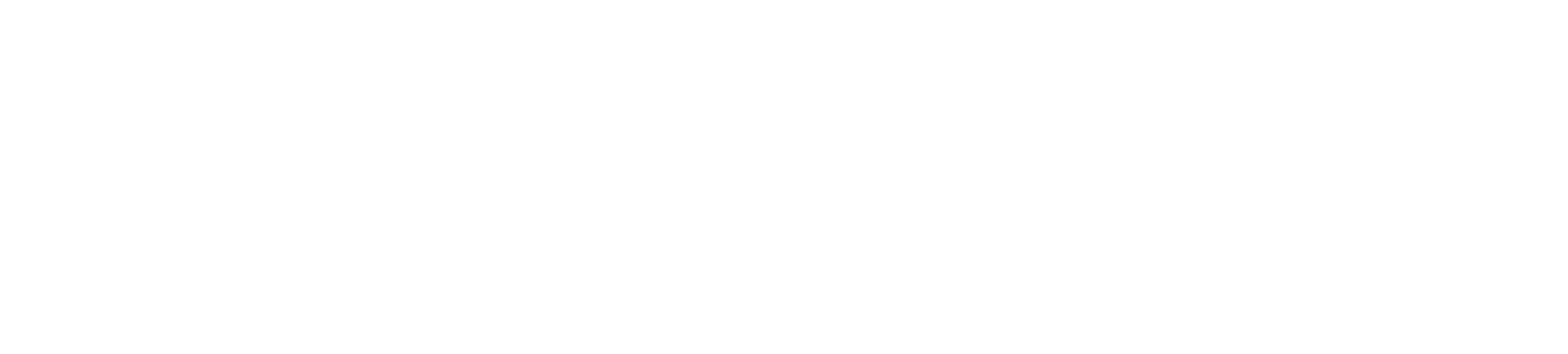 ThunderCat | Czech Rocket Society